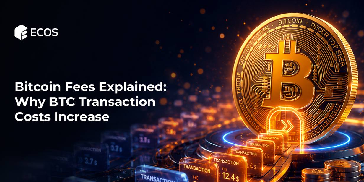 Why Are Bitcoin Fees So High?