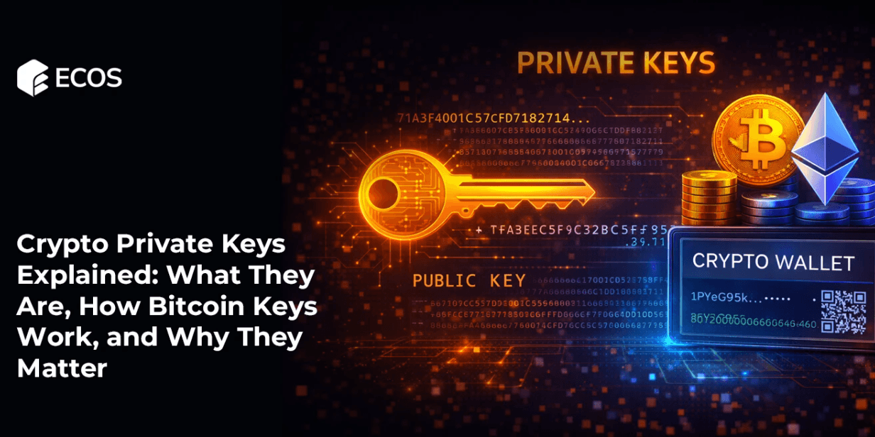 What Crypto Private Key Are and How Bitcoin Keys Work
